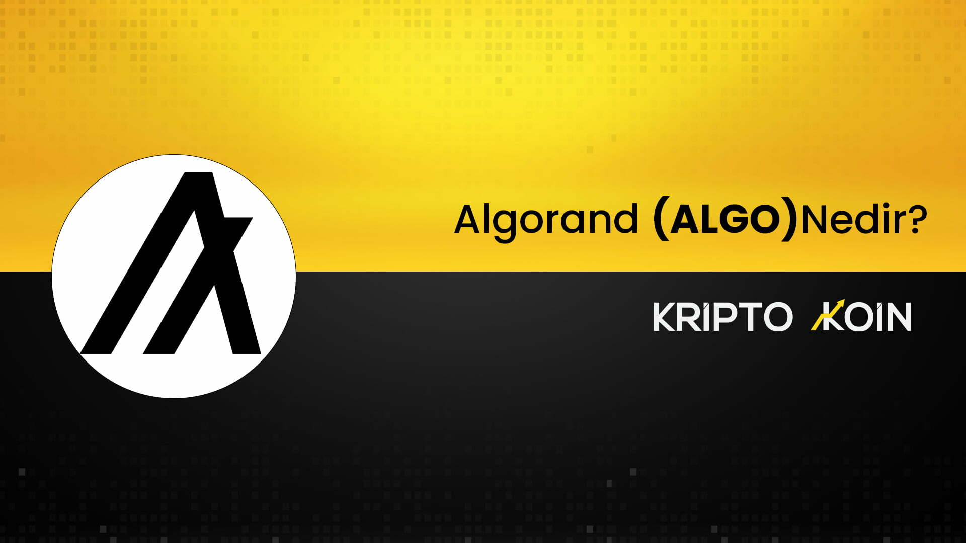Algorand Nedir? ALGO Coin Nasıl Alınır? - Coin Mühendisi