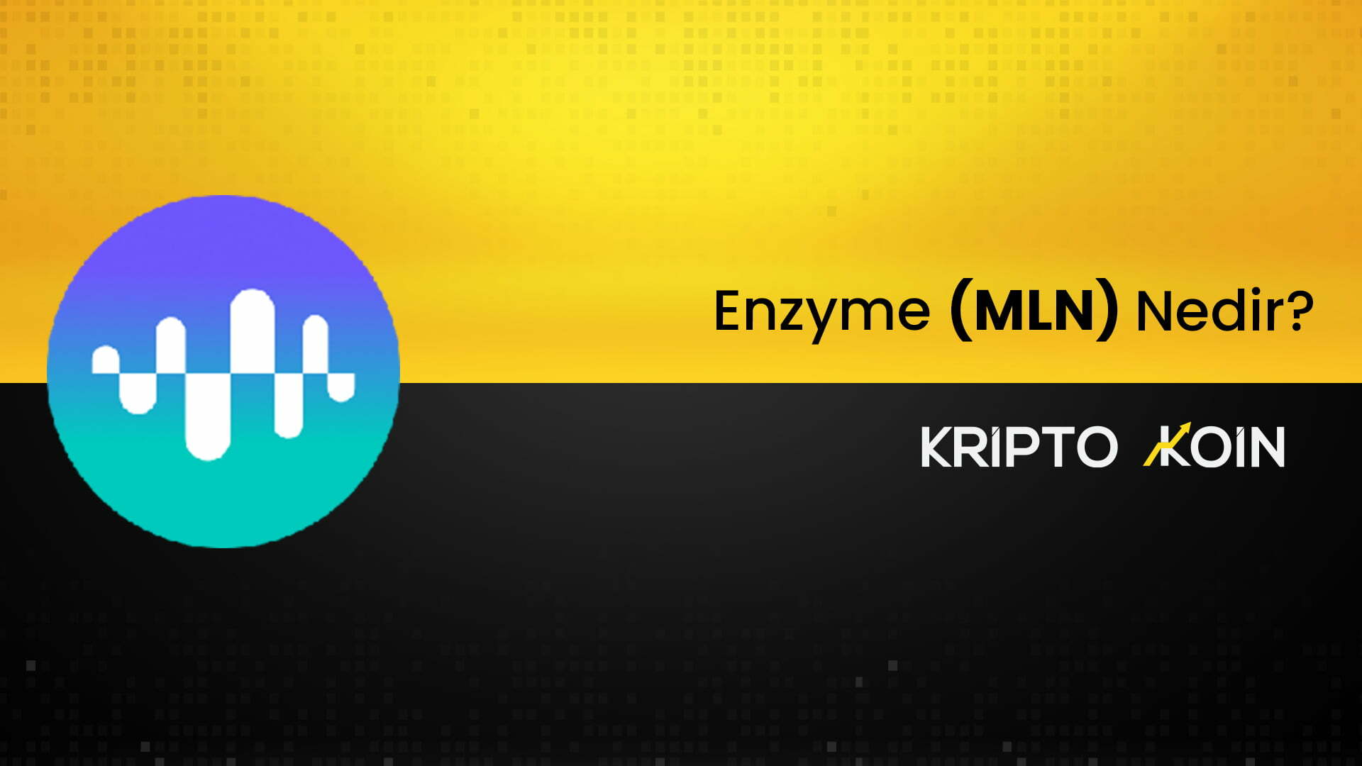 Enzyme Nedir? MLN Coin Nasıl Alınır? - Coin Mühendisi