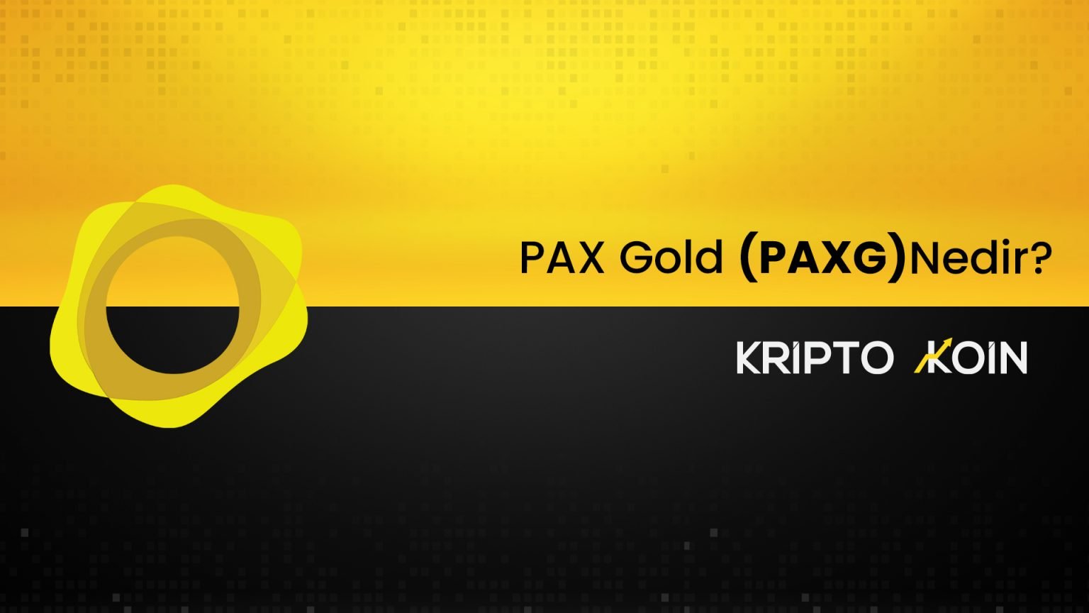 Pax Dollar Nedir? USDP Ne İşe Yarar? - Coin Mühendisi