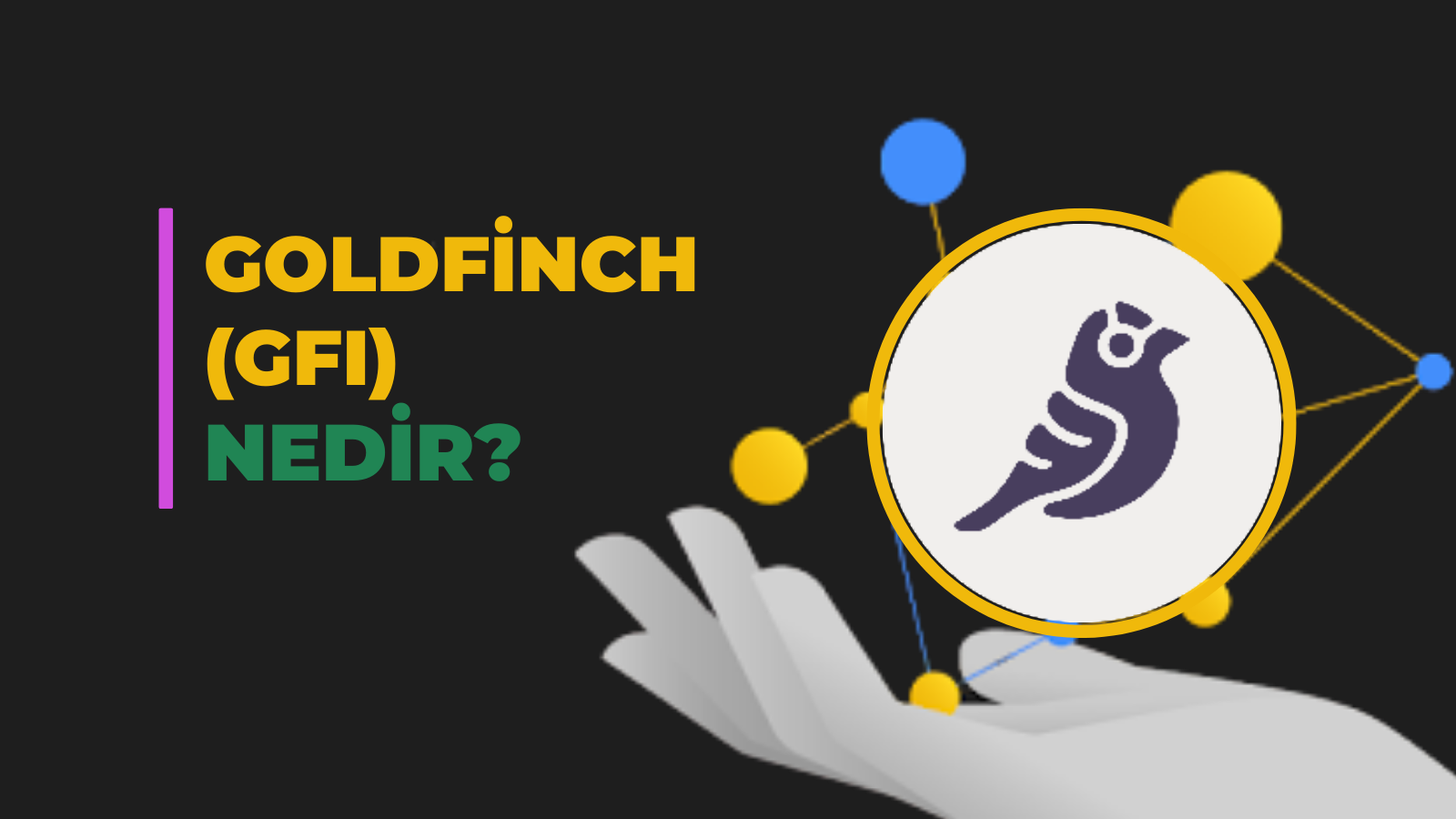 GFI Coin Nedir? Goldfinch (GFI) Coin Yorum ve Geleceği 2022 - Coin ...