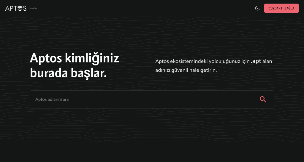 Aptos Ekosistemindeki Projeler Ve Özellikleri ? - Coin Mühendisi