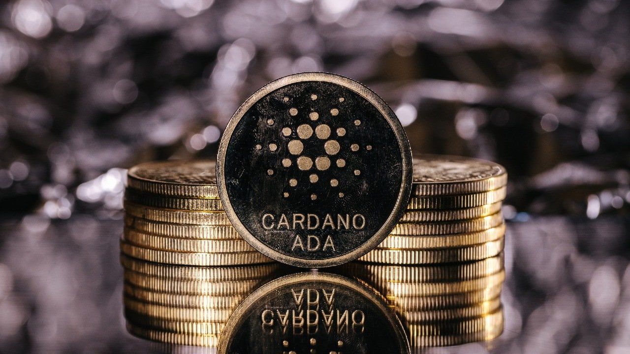 Cardano, En Büyük Üçüncü NFT Protokolü Oldu - Coin Mühendisi