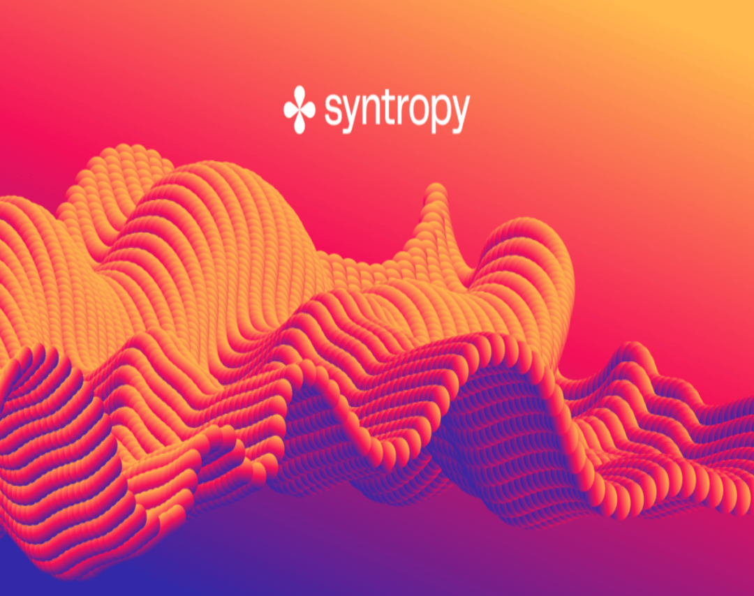 Syntropy İnceleme - Coin Mühendisi