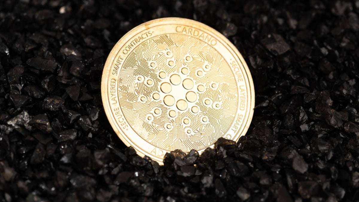 Cardano, Dust Token’ını Tanıttı - Coin Mühendisi