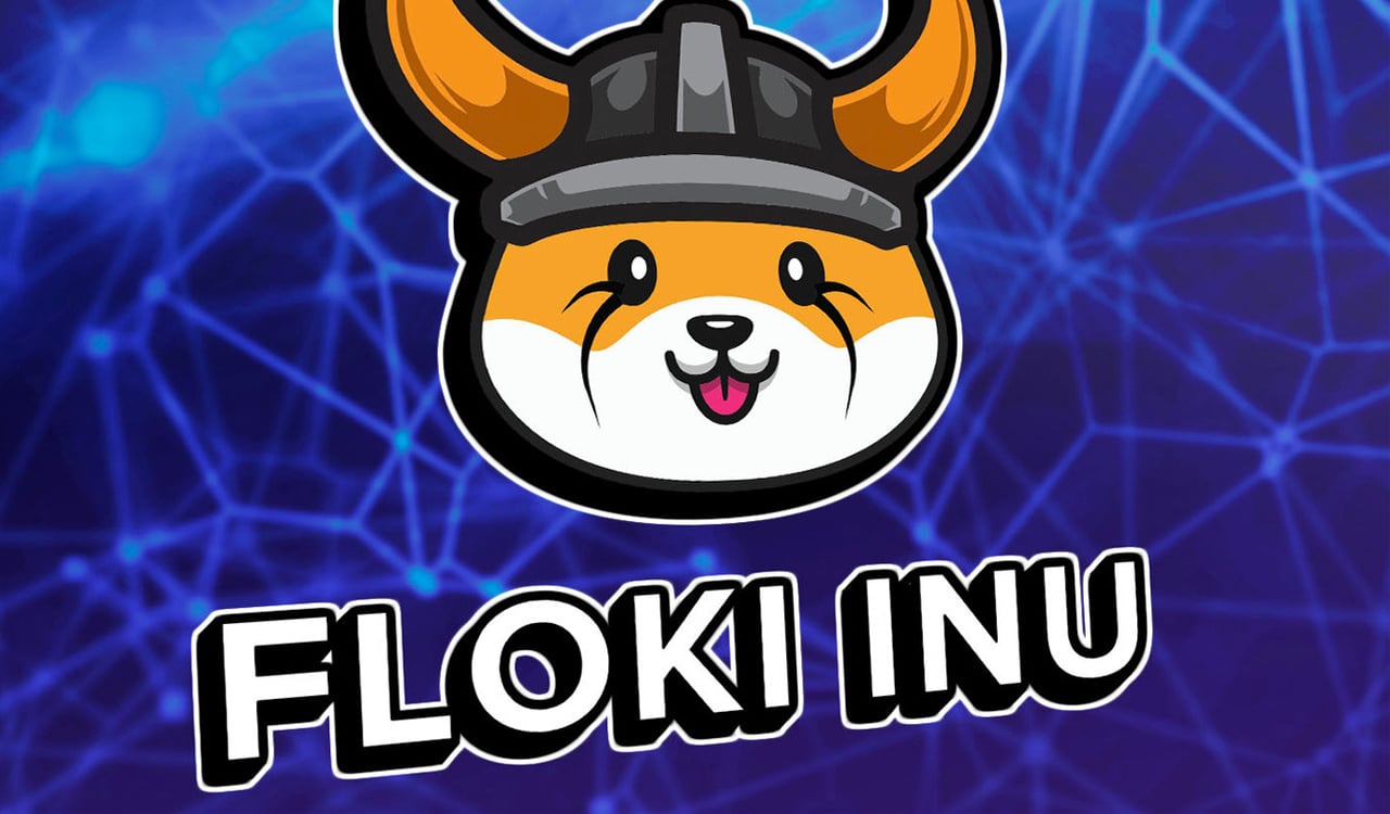 Floki Inu (FLOKI) Nedir? - Coin Mühendisi