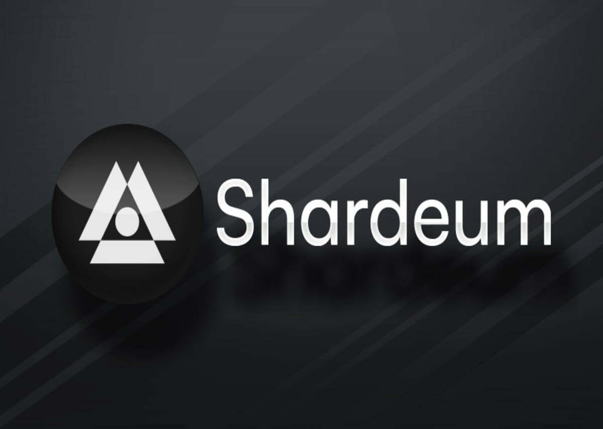 Shardeum (SHM) Nedir? - Coin Mühendisi