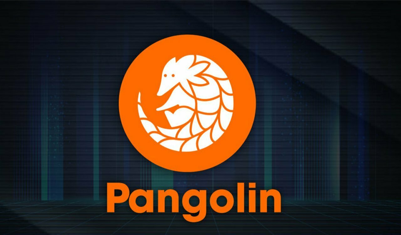 Pangolin Nedir? PNG Coin Nasıl Alınır? - Coin Mühendisi