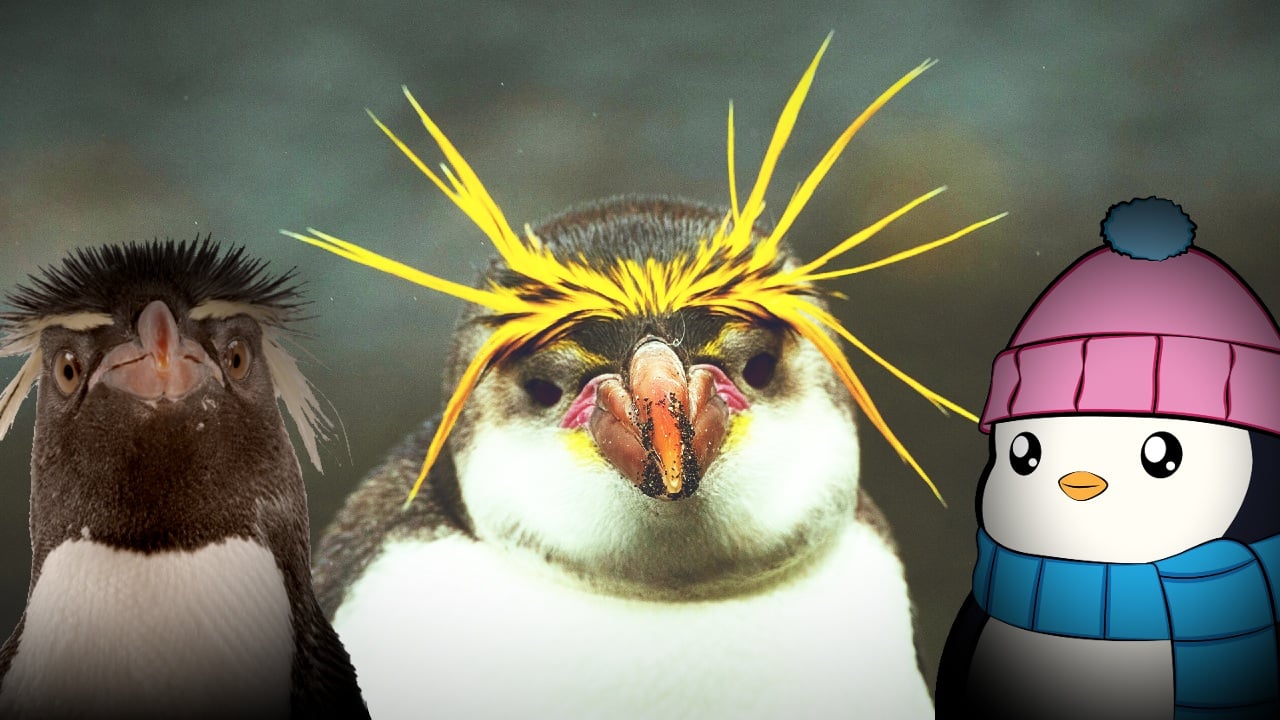 Pudgy Penguins NFT Koleksiyonu 129 Bin Dolara Satıldı - Coin Mühendisi