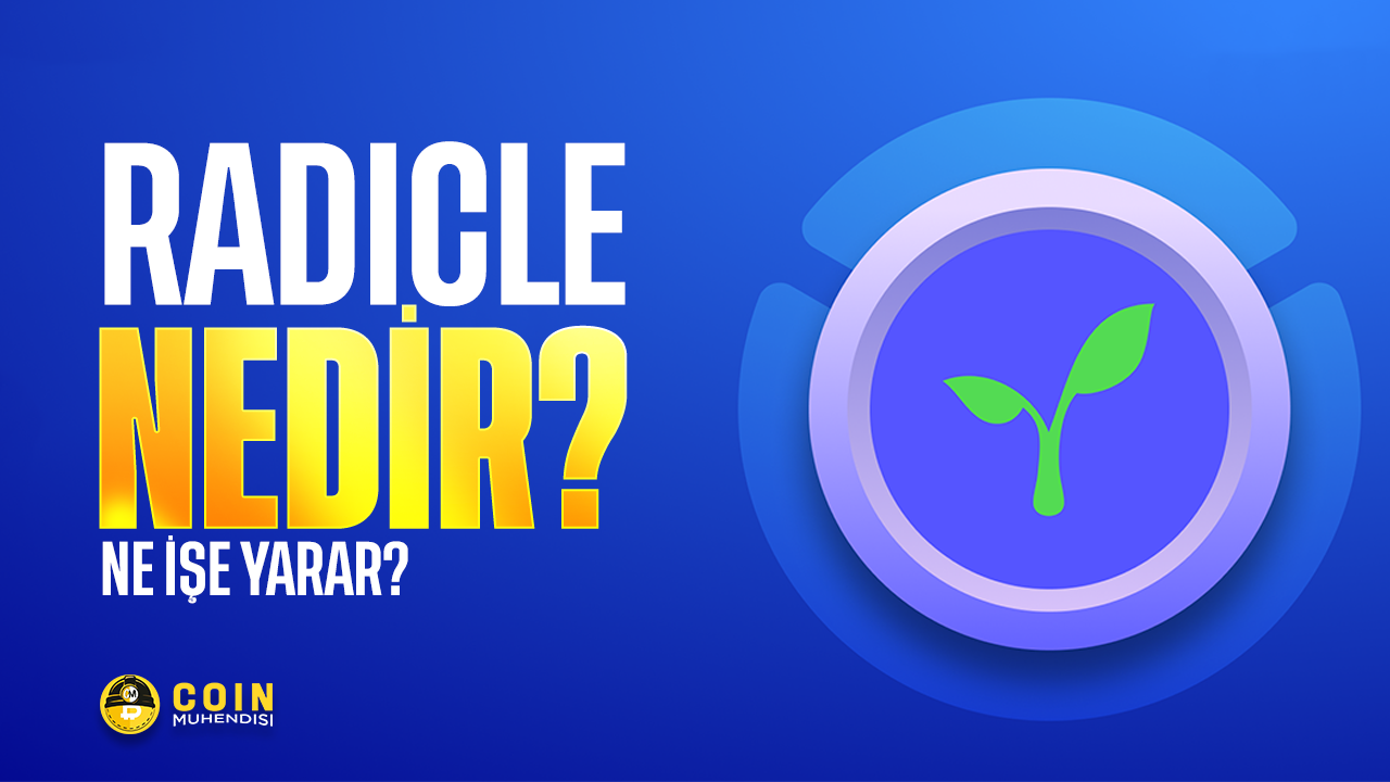 Radicle Nedir? Ne İşe Yarar?