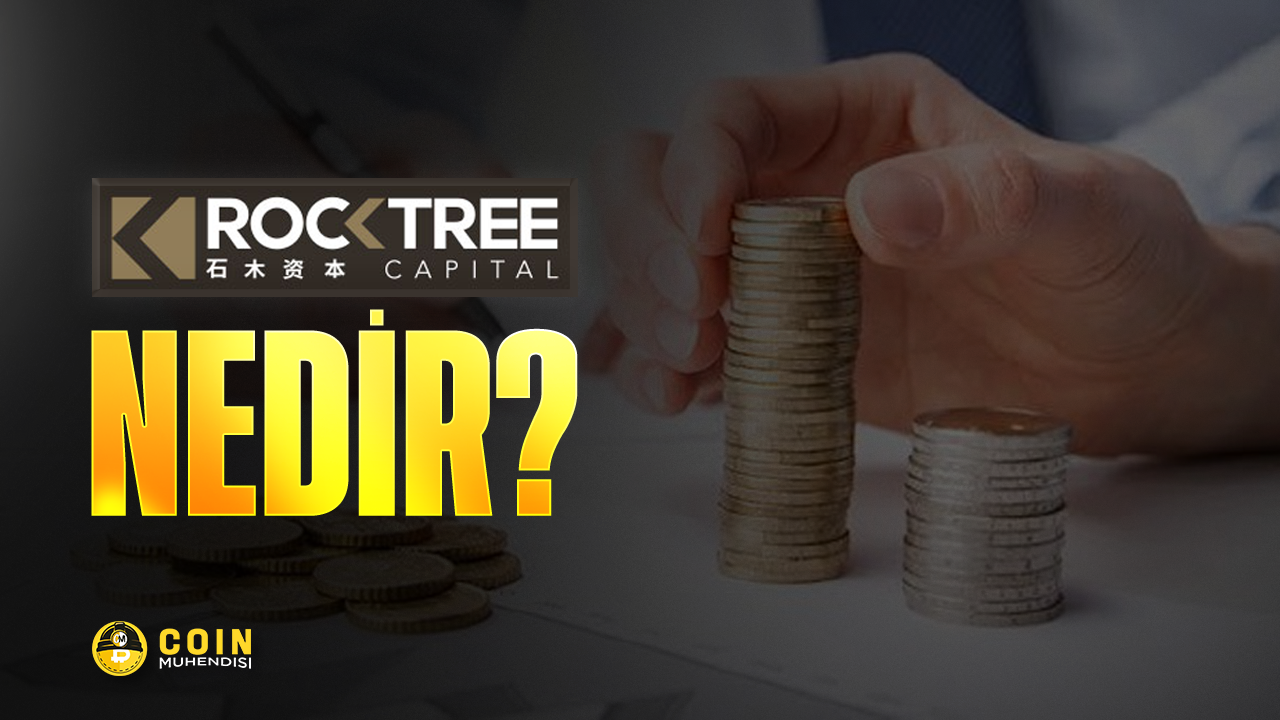 RockTree Capital Nedir? - Coin Mühendisi