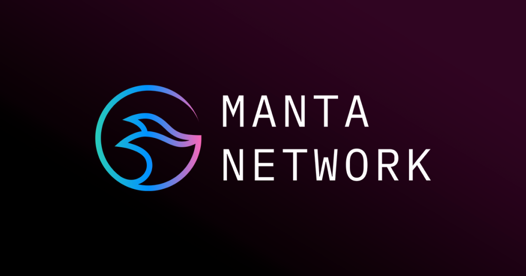 Manta Network Nedir? Proje İncelemesi - Coin Mühendisi
