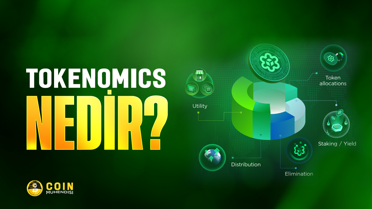 Tokenomics Nedir? - Coin Mühendisi
