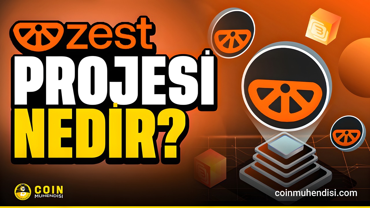 Zest Protocol Nedir, Ne İşe Yarar? - Coin Mühendisi