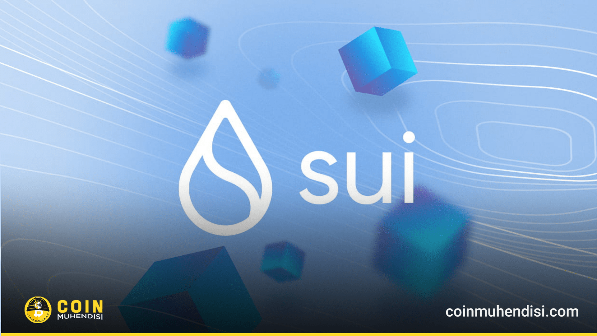 Sui Network: Memecoin Patlaması! - Coin Mühendisi