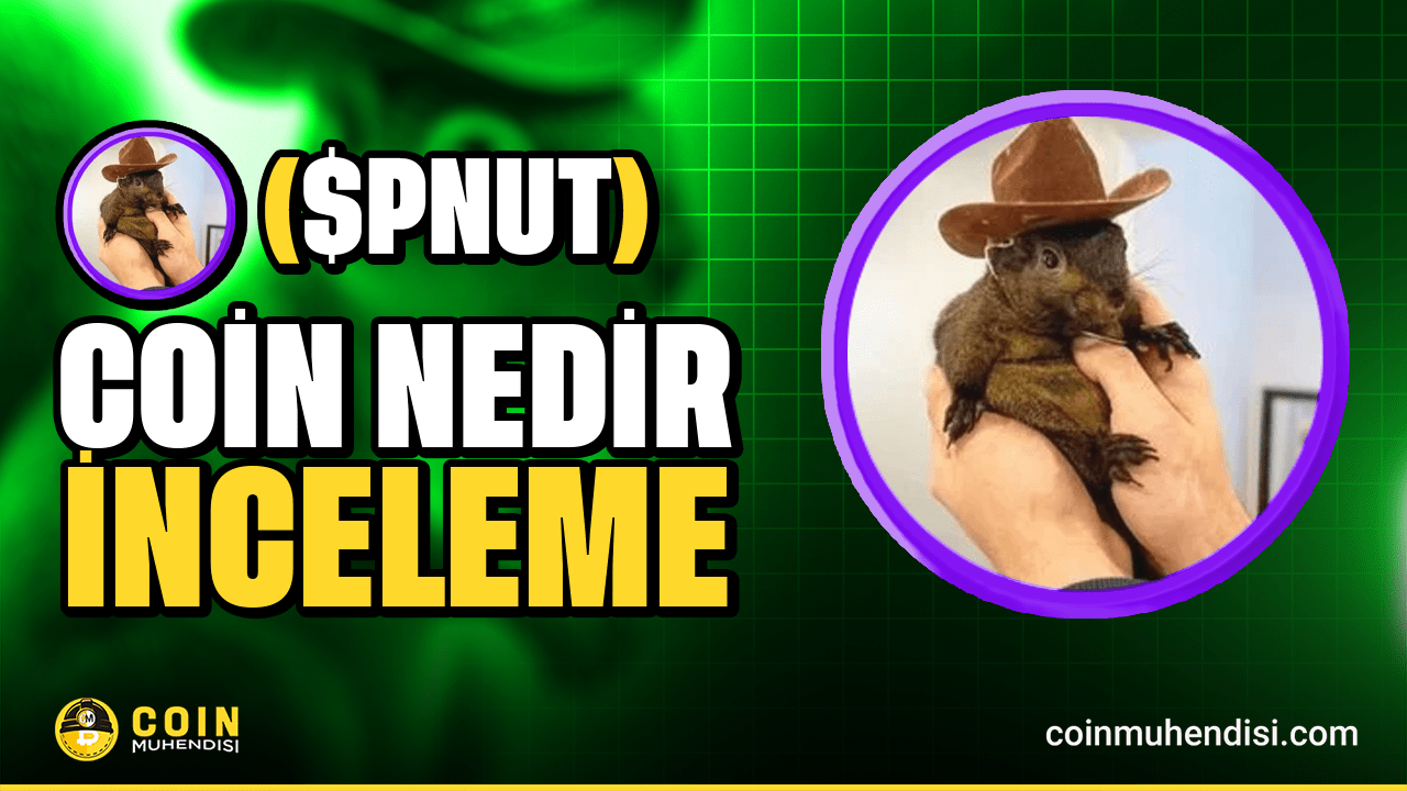 Peanut the Squirrel (PNUT) Nedir? - Coin Mühendisi