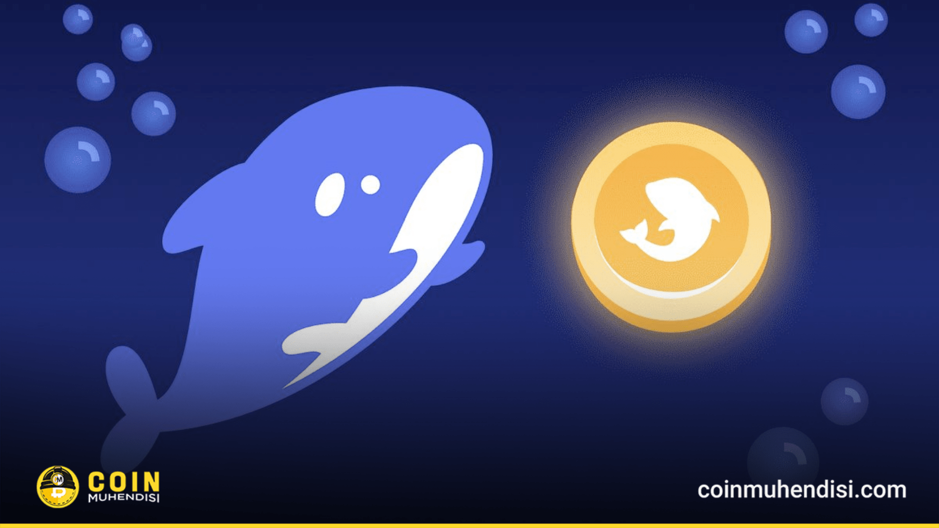 Orca Nedir, Ne İşe Yarar? - Coin Mühendisi