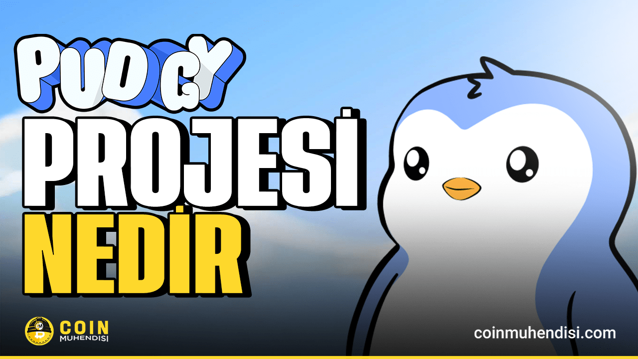 Pengu Coin Nedir? Pengu Coin ve Fiyat Analizi - Coin Mühendisi