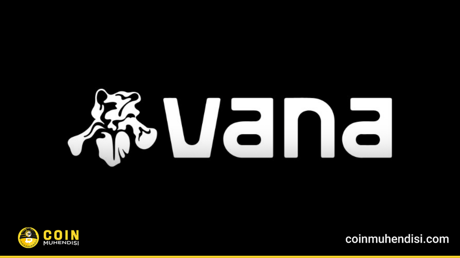 Vana (VANA) Nedir? Kullanıcı Verilerine Dayalı Yeni Bir Ekosistem! - Coin Mühendisi