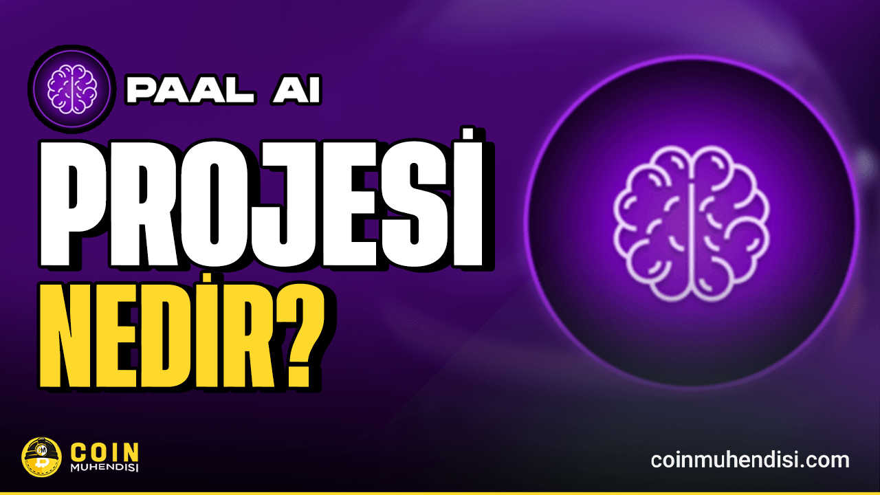 PAAL AI Nedir? - Coin Mühendisi