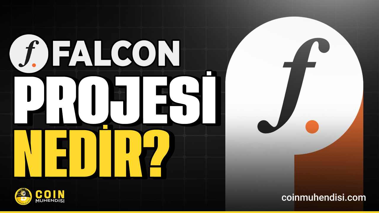 Falcon Finance Nedir? - Coin Mühendisi