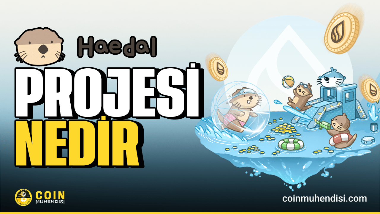 Haedal Protocol (HAEDAL) Nedir? - Coin Mühendisi