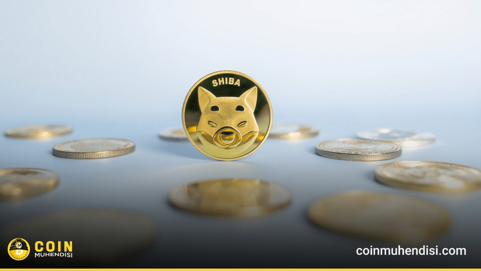 SHIB Coin Analizi: Balina Hareketleri ve Piyasa Eğilimleri