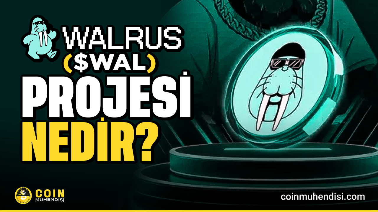 Walrus (WAL) Nedir? Ne İşe Yarar? - Coin Mühendisi