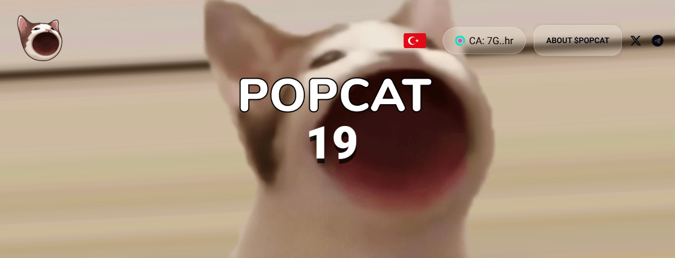 What Is Popcat (POPCAT)? - Coin Engineer