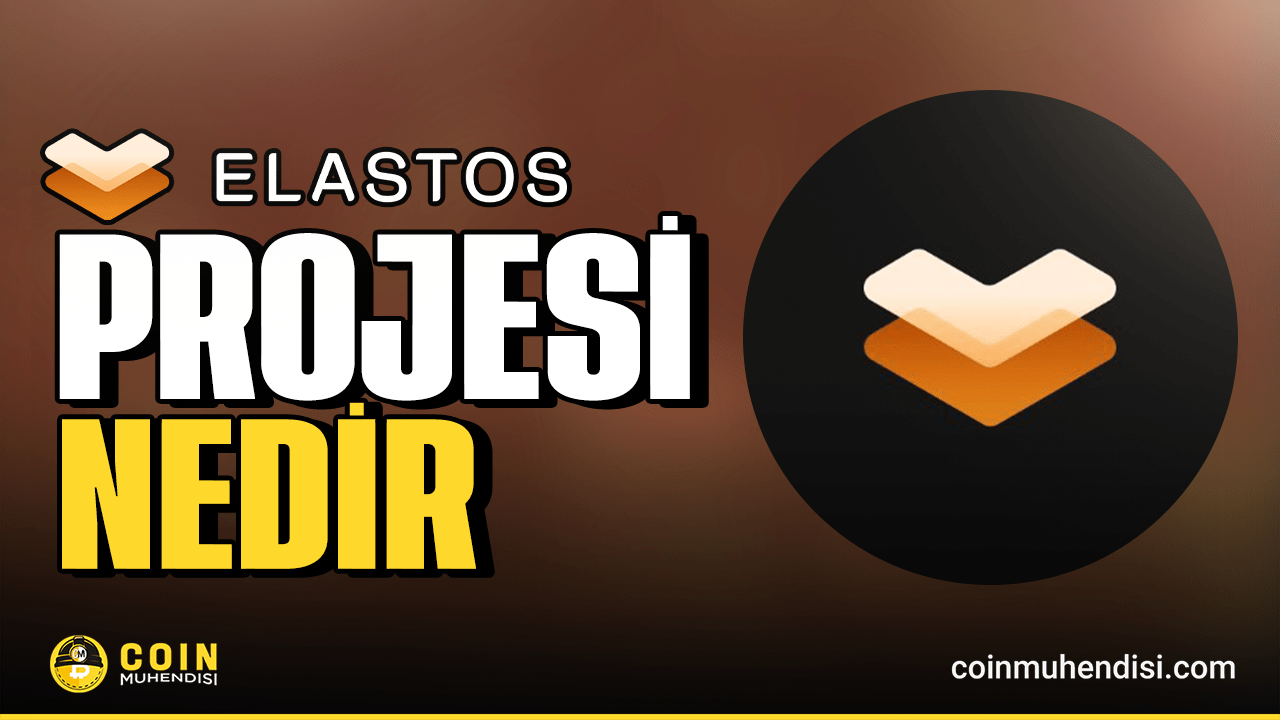 Elastos (ELA) Nedir? - Coin Mühendisi