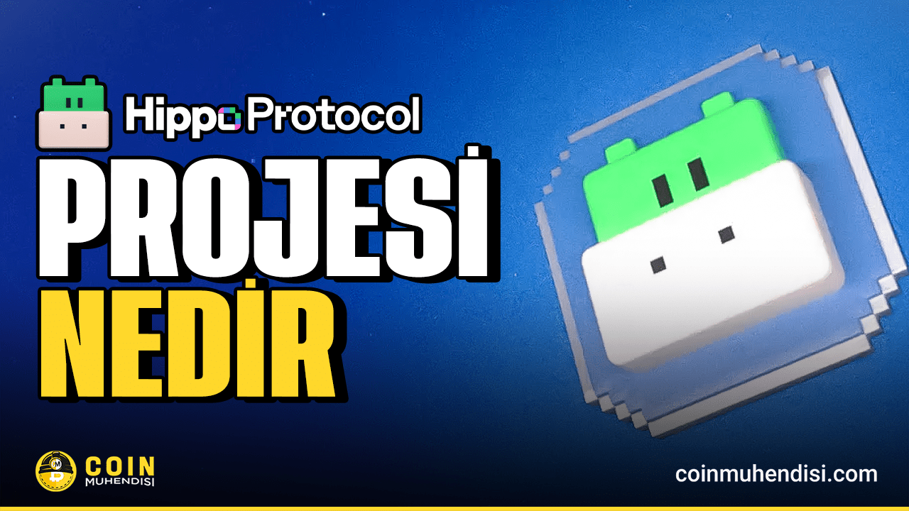 Hippo Protocol (HP) Nedir? Ne İşe Yarar? - Coin Mühendisi