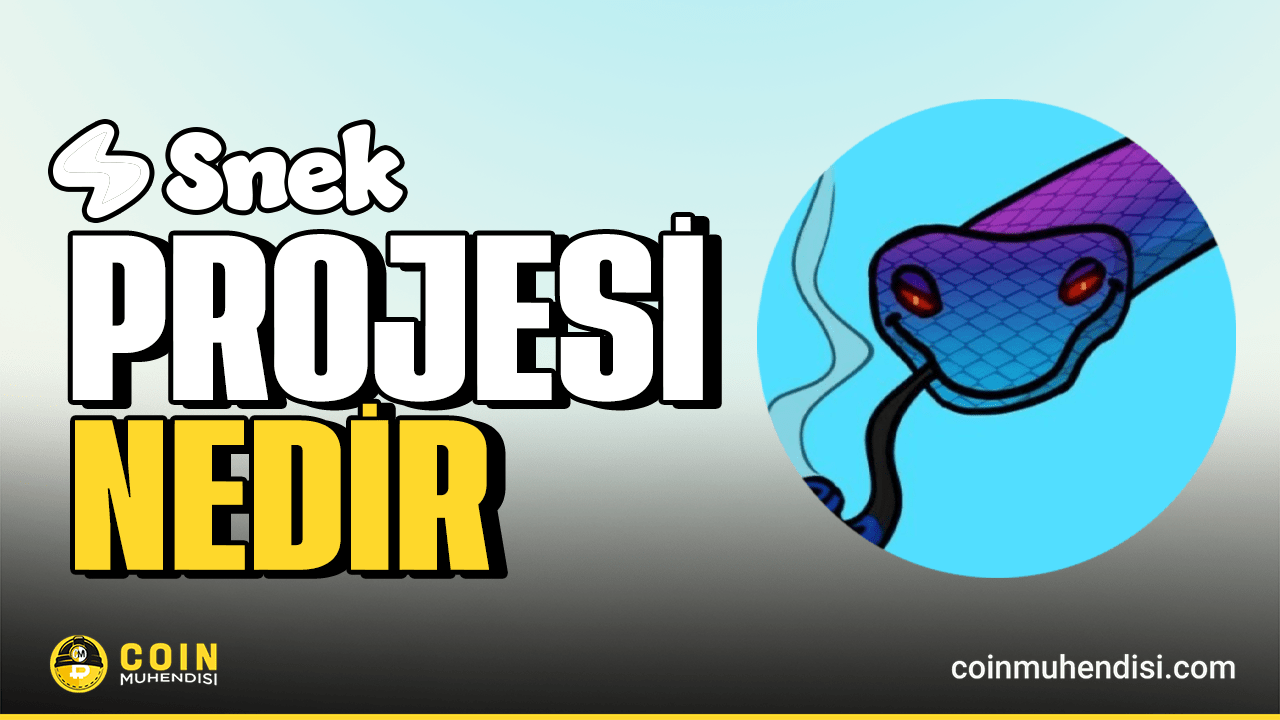 Snek (SNEK) Nedir? - Coin Mühendisi