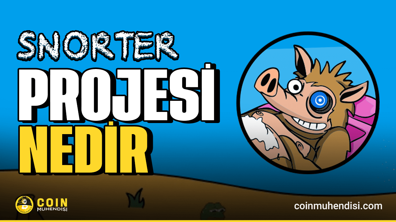 Snorter Token (SNORT) Nedir? Meme Coin ve Bot Rehberi - Coin Mühendisi