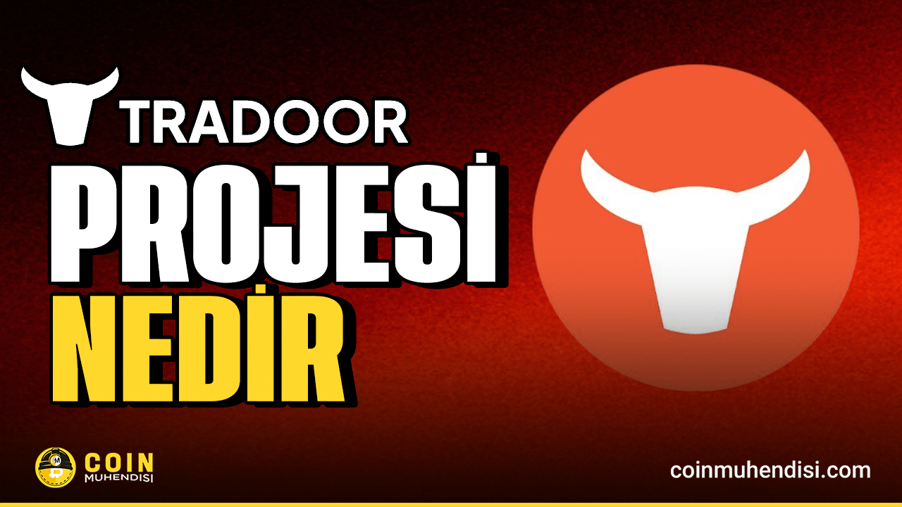Tradoor (TRADOOR) Nedir? - Coin Mühendisi