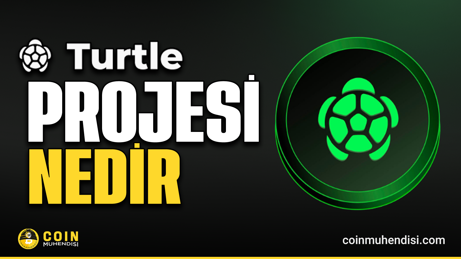 Turtle Token Nedir? - Coin Mühendisi