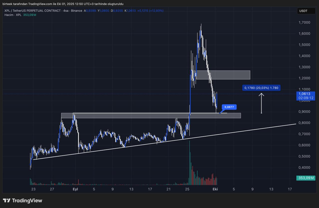 XPL Neden Düştü? %46 Çöküşün Arkasındaki Sebepler ve Analiz - Coin ...