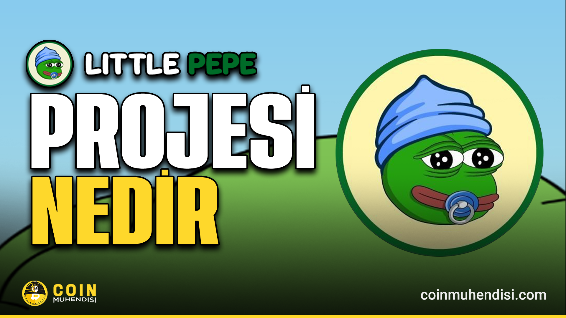 Little Pepe (LILPEPE) Nedir? - Coin Mühendisi
