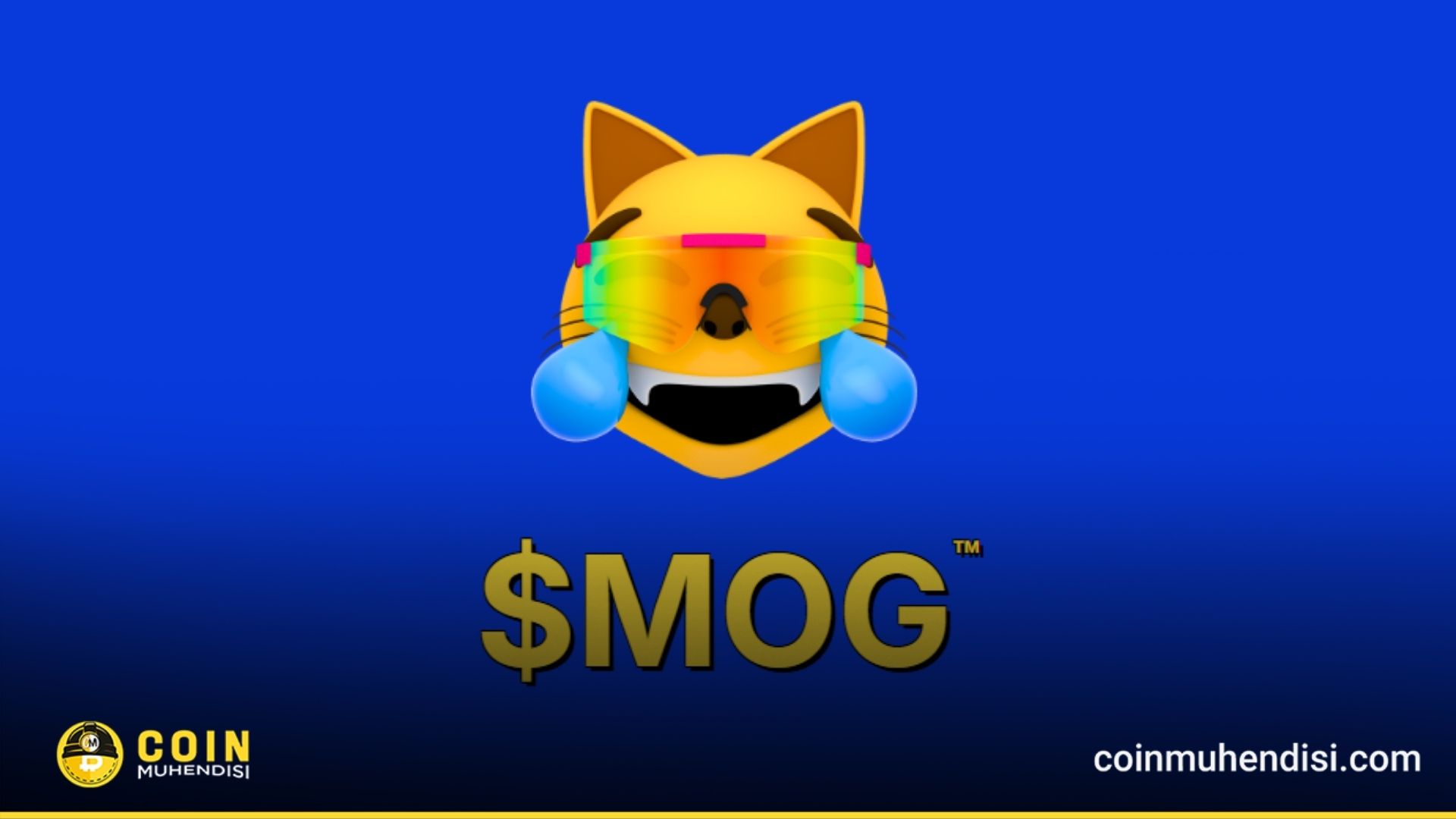 Canary Capital, Mog Coin (MOG) ETF Başvurusu Yaptı! - Coin Mühendisi