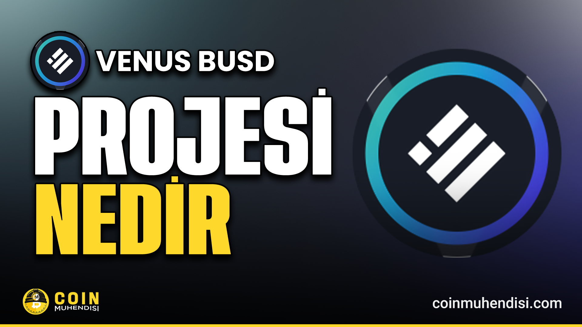 Venus BUSD (vBUSD) Nedir? - Coin Mühendisi