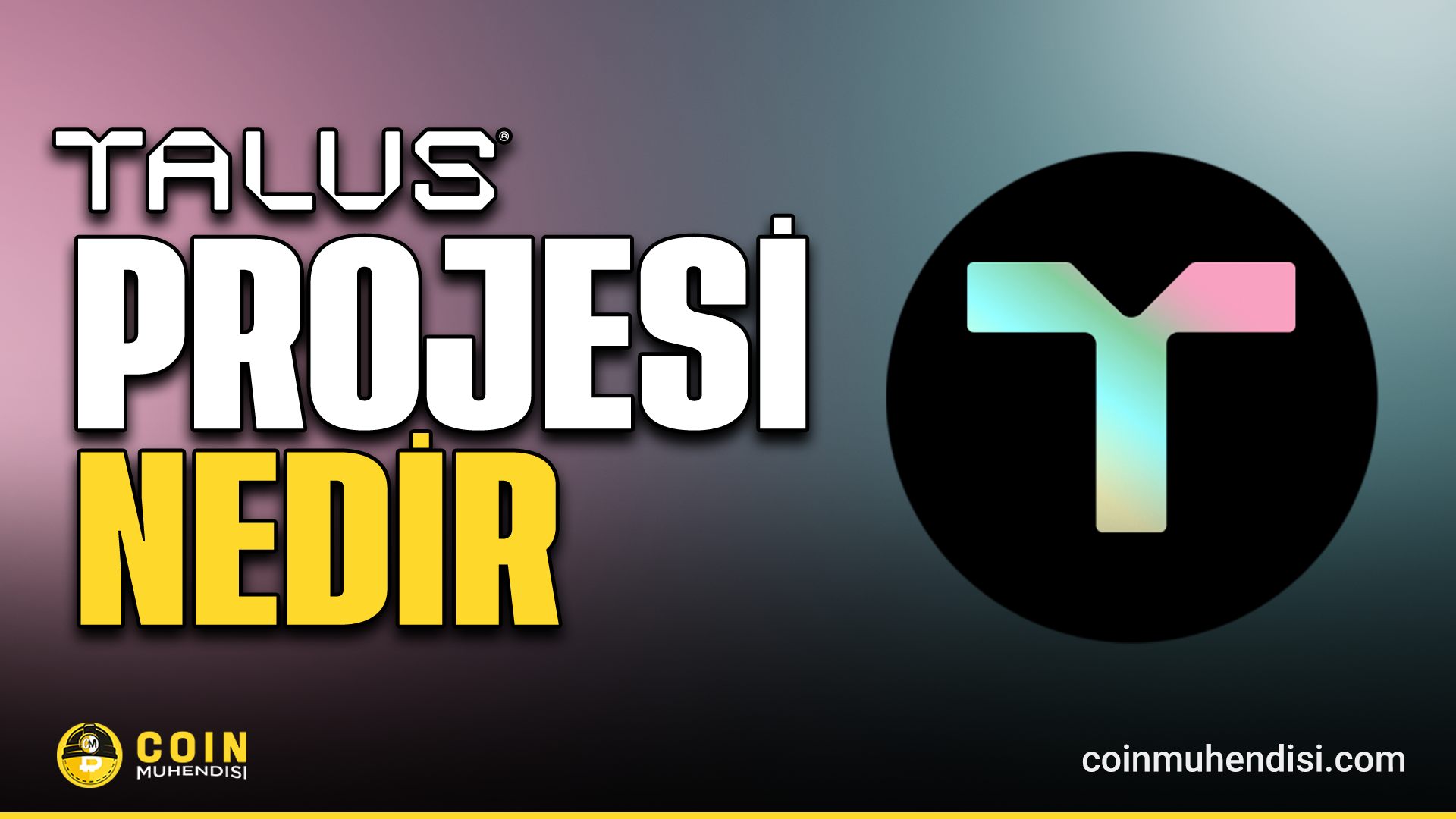 Talus Network (US) Nedir? - Coin Mühendisi