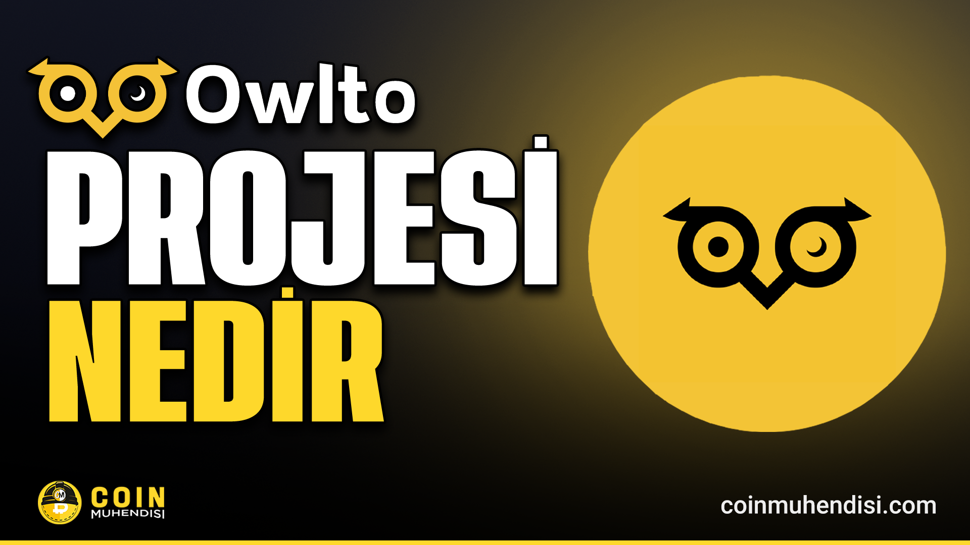 Owlto Finance (OWL) Nedir? - Coin Mühendisi